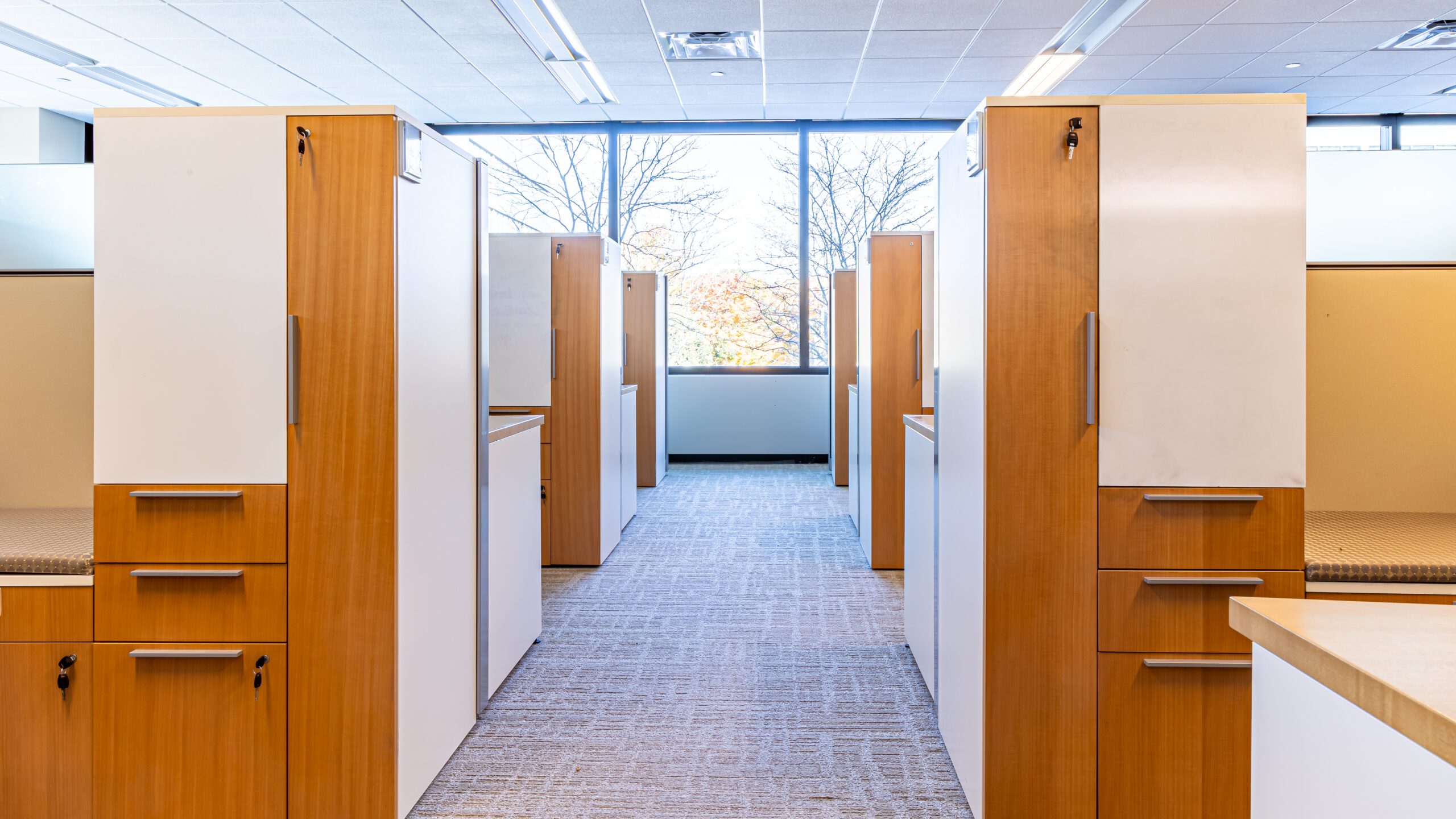 Office Cubicle Design & Ordering Guide: Maximize Space